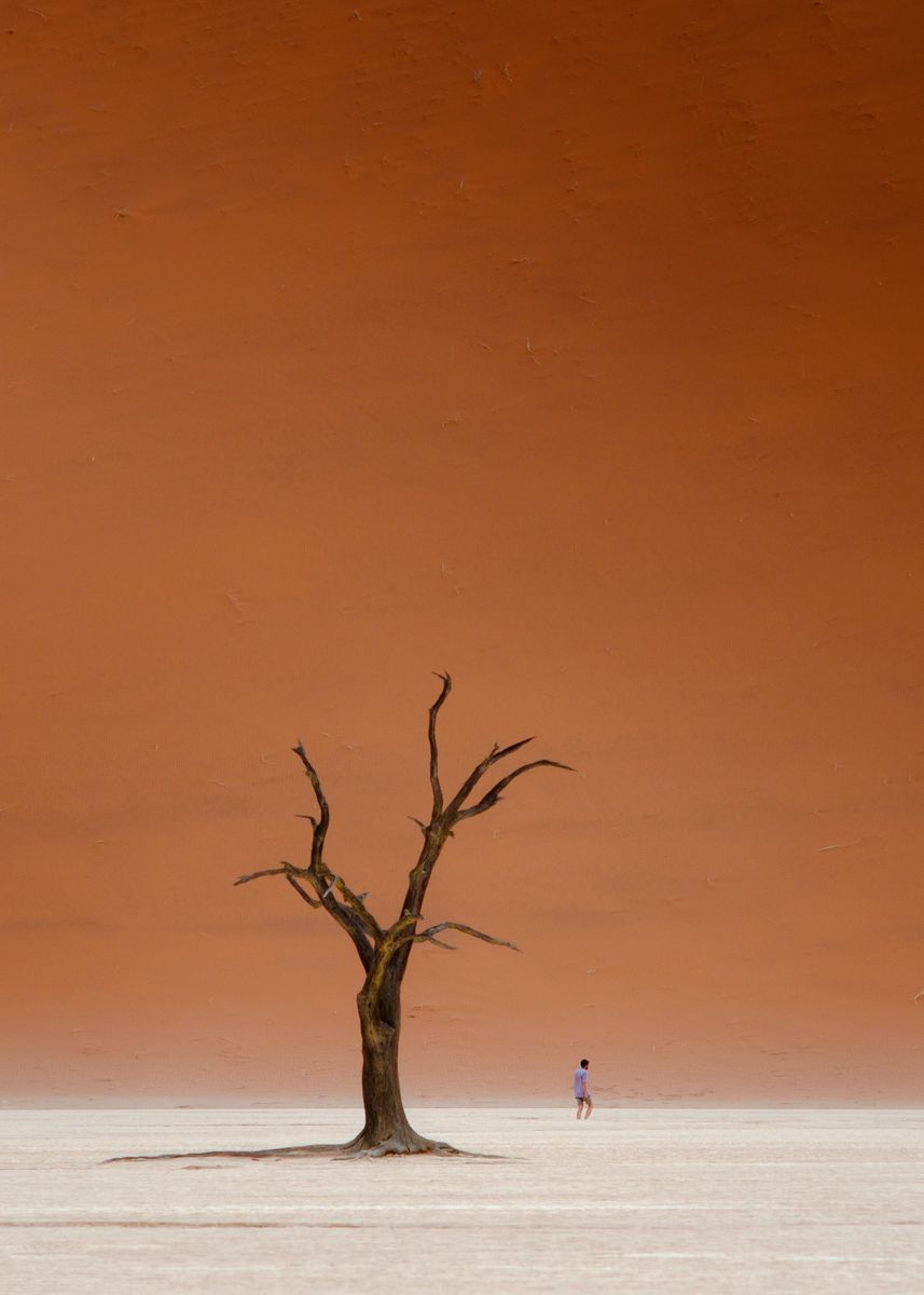 'Deadvlei, Namibia' Poster by Peter Banny | Displate