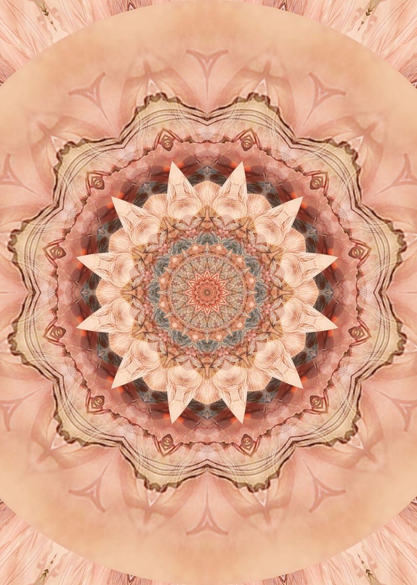 'Mandala compassion' Poster, picture, metal print, paint by Christine ...