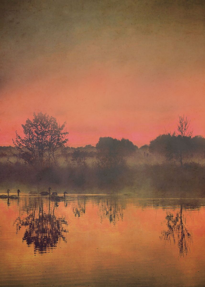 'Gloaming' Poster, picture, metal print, paint by Aurora Art | Displate