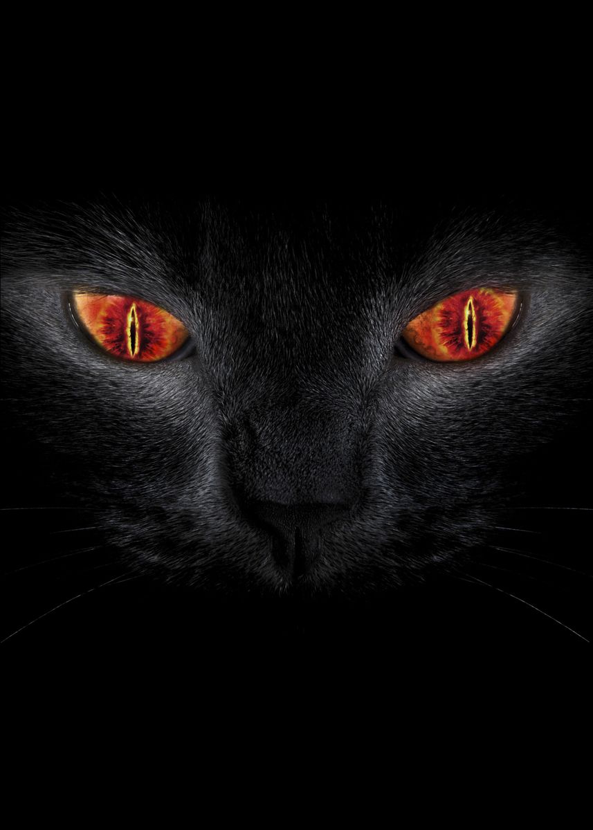 '- Evil cat -' Poster by Geek me that | Displate