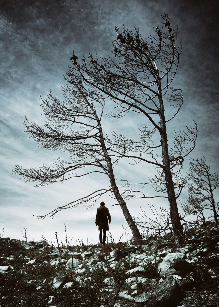 'Silhouette on a men walking in a desolate lifeless fiel ... ' Poster ...