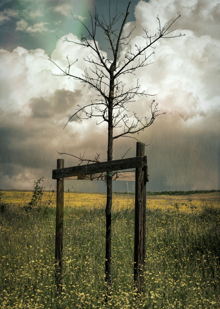 'hilly landscape' Poster by Ornella Bonomini | Displate