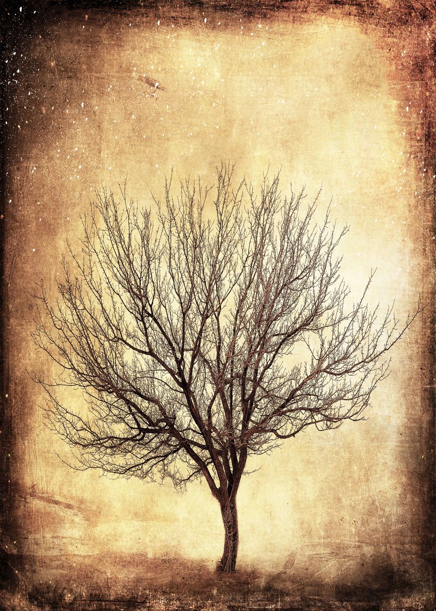 'The Awakening' Poster, picture, metal print, paint by David Hughes ...