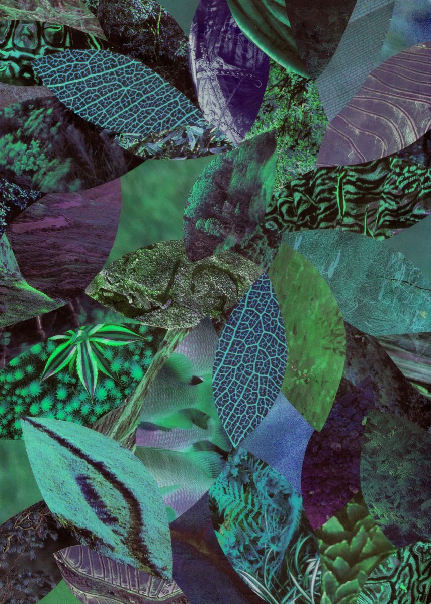 'Nature Collage' Poster by Angela Hoard Dunn | Displate