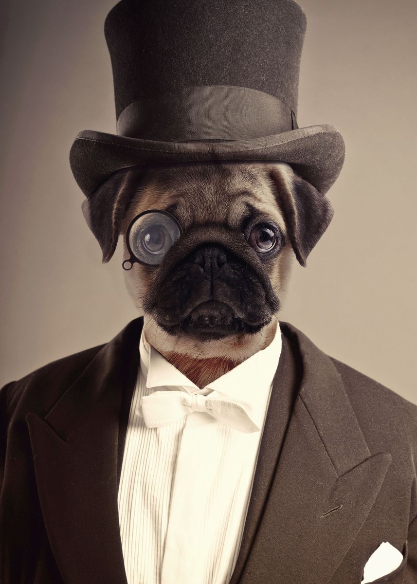 '(Very) Distinguished Dog' Poster, picture, metal print, paint by ...