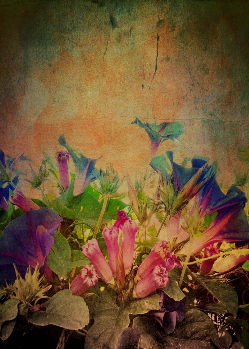 ''Flowers have music for those who will listen' Wild flo ... ' Poster ...