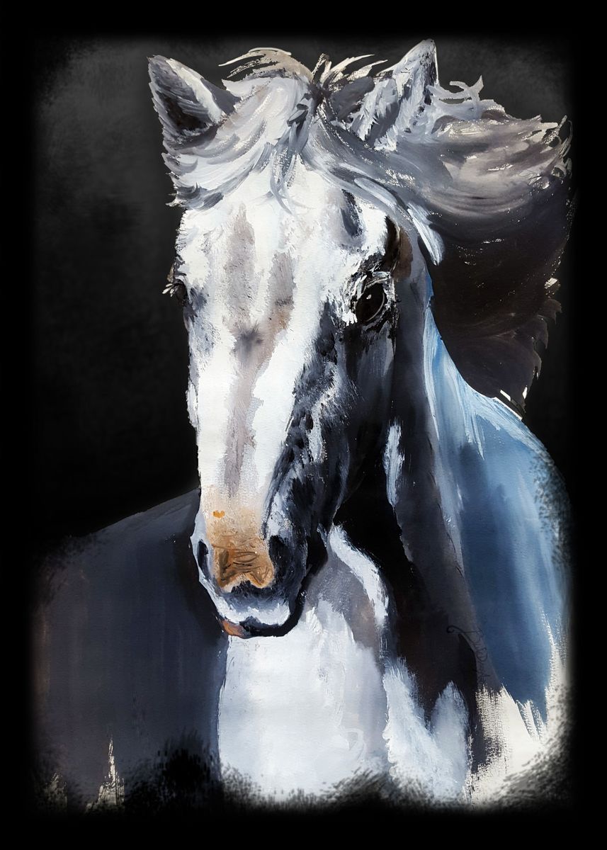 'Horse Ghost - Wild White Horse from the Dark ' Poster, picture, metal ...