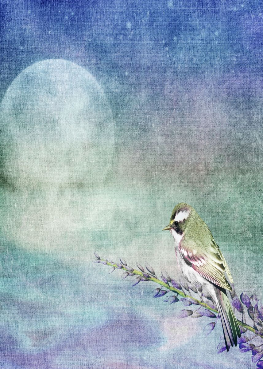 'Home to Roost' Poster, picture, metal print, paint by David Hughes ...