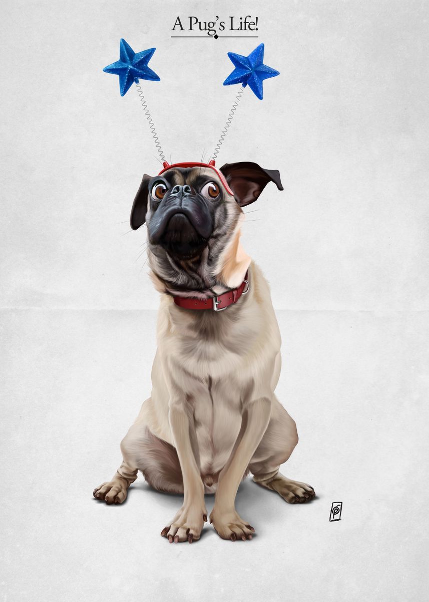 'A Pug's Life' Poster, picture, metal print, paint by rob art ...
