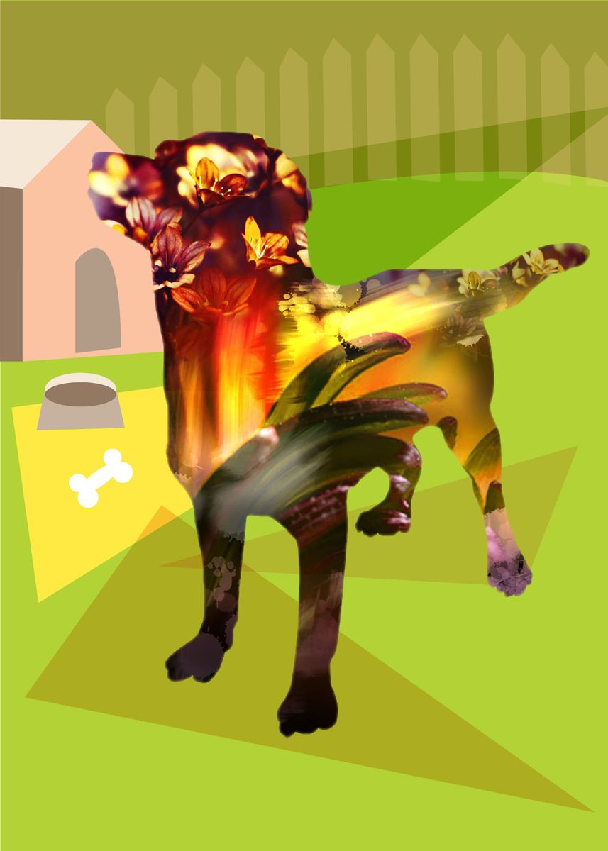 'DOG' Poster, picture, metal print, paint by coimaxx | Displate