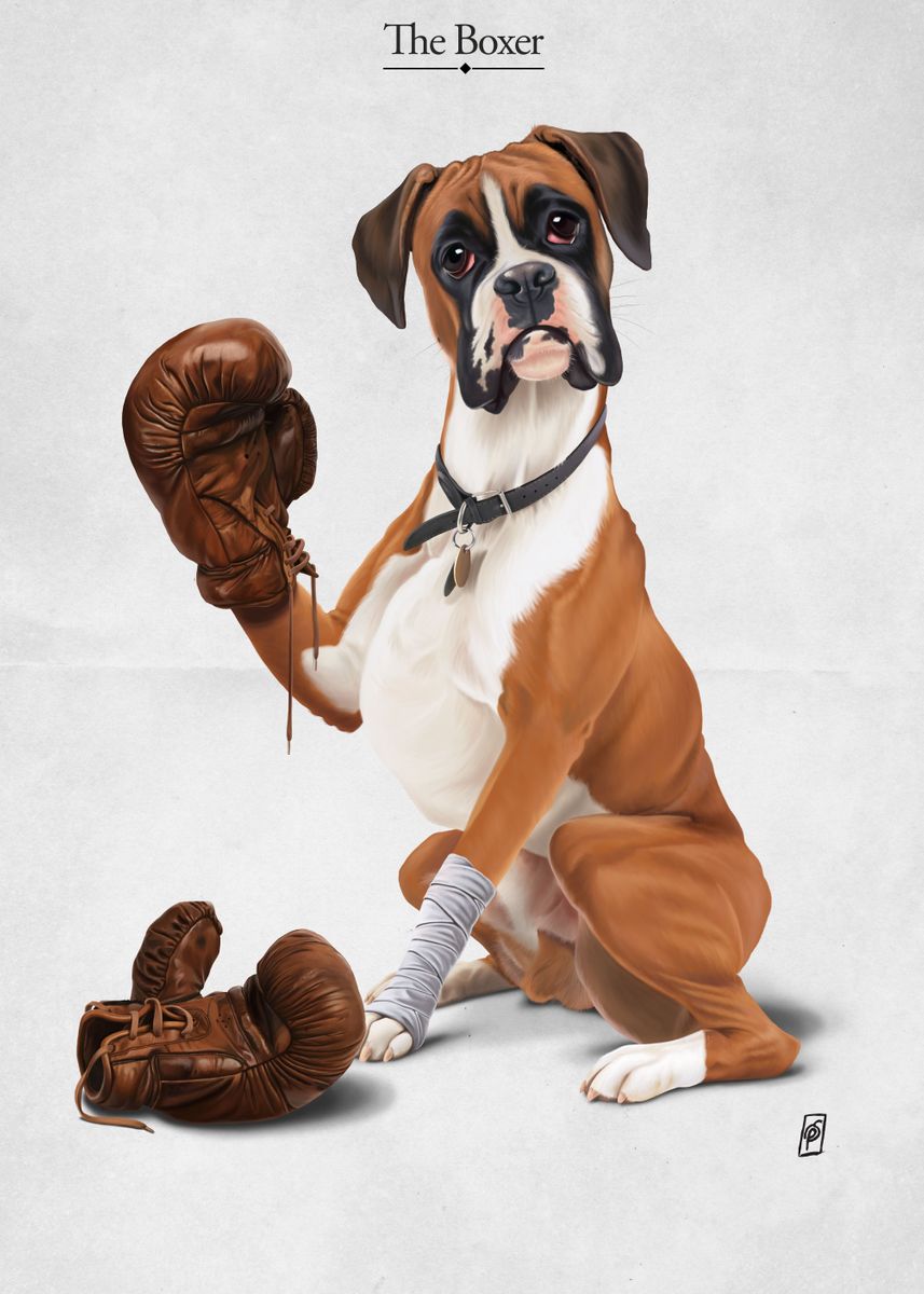'The Boxer' Poster, picture, metal print, paint by rob art ...