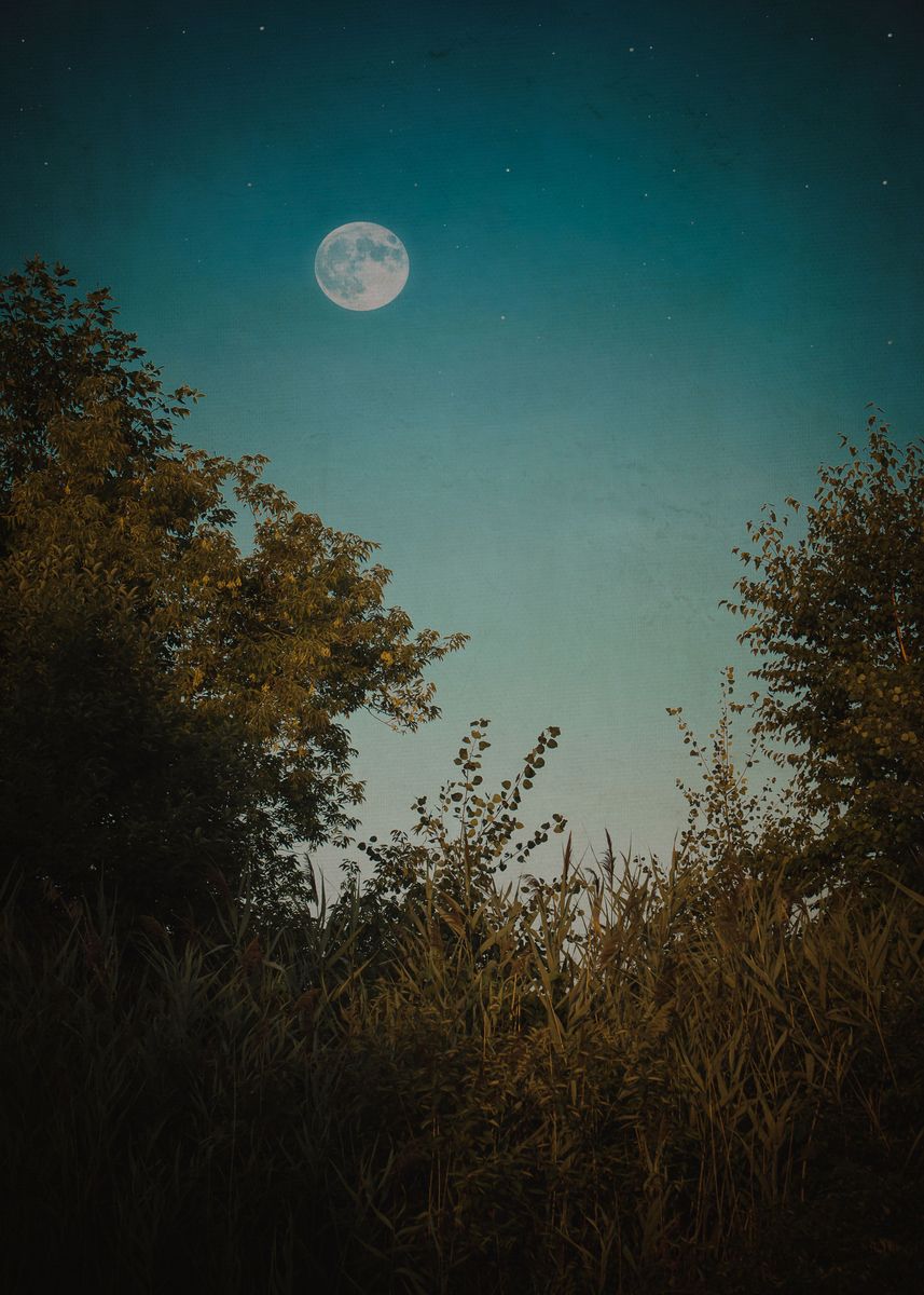 'They Shine For You' Poster by Kristin Hunt | Displate