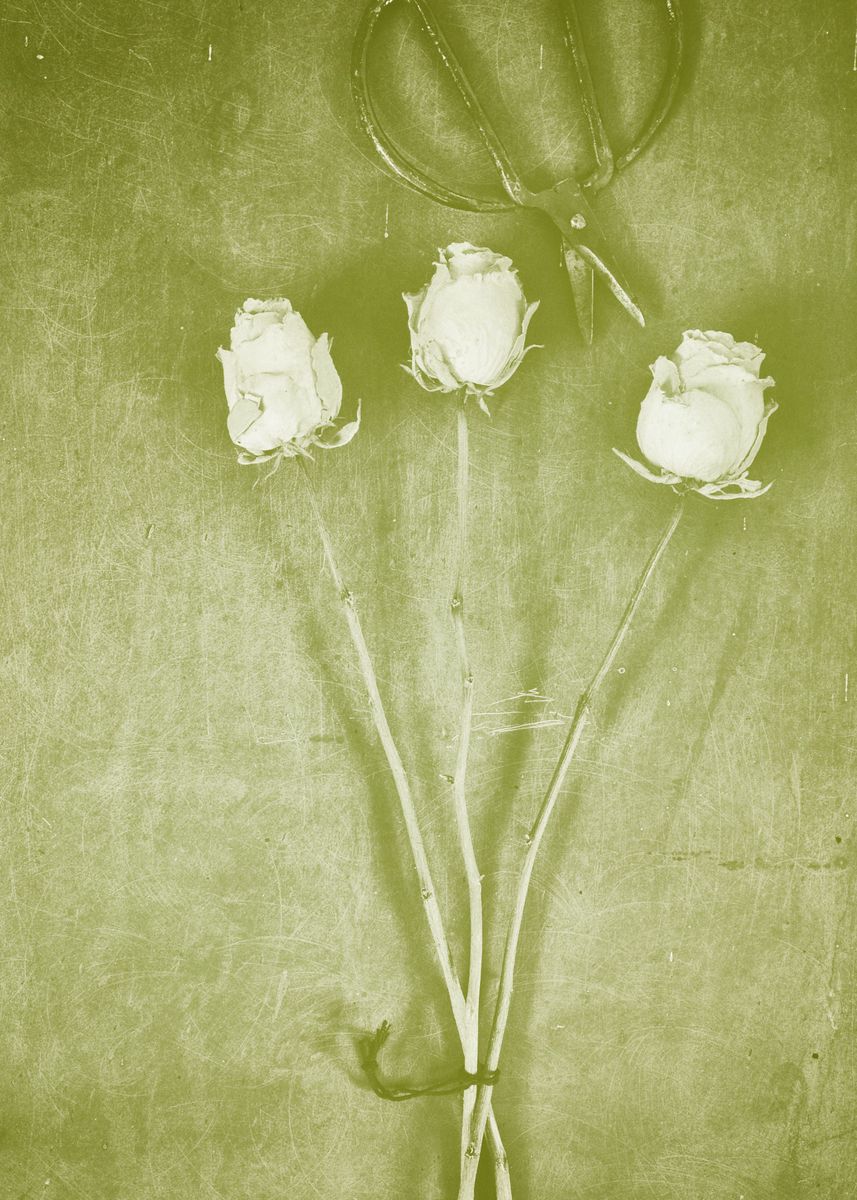 'Retro green three roses.' Poster by Anki Hoglund | Displate