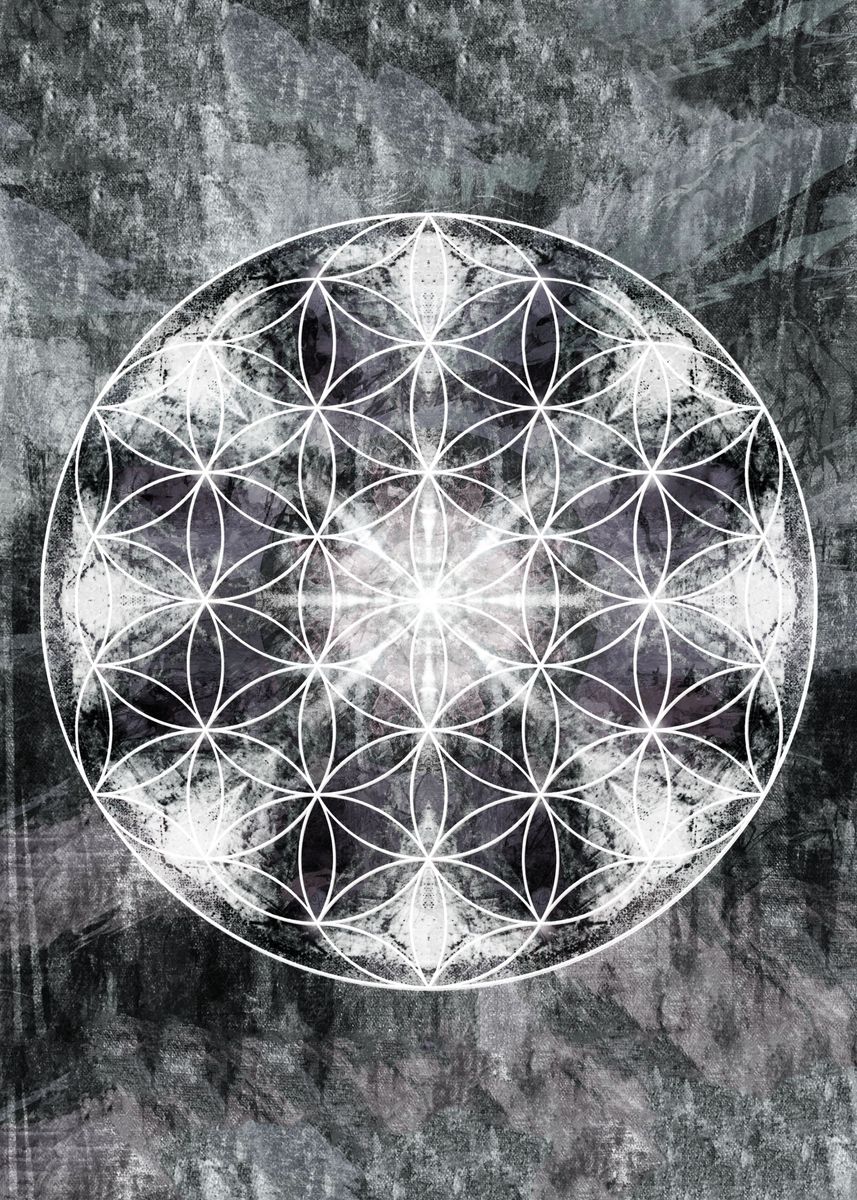 'flower of life black grey' Poster, picture, metal print, paint by ...