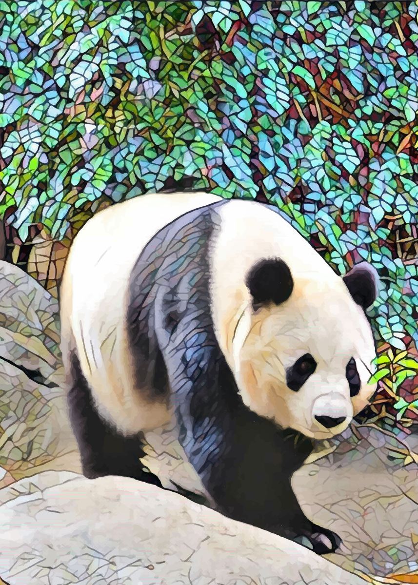 'Panda bear in San Diego. If you love pandas, you will l ... ' Poster ...