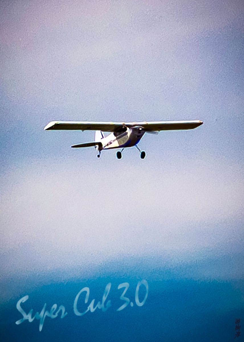 'Custom RC plane' Poster, picture, metal print, paint by Steven Mell ...