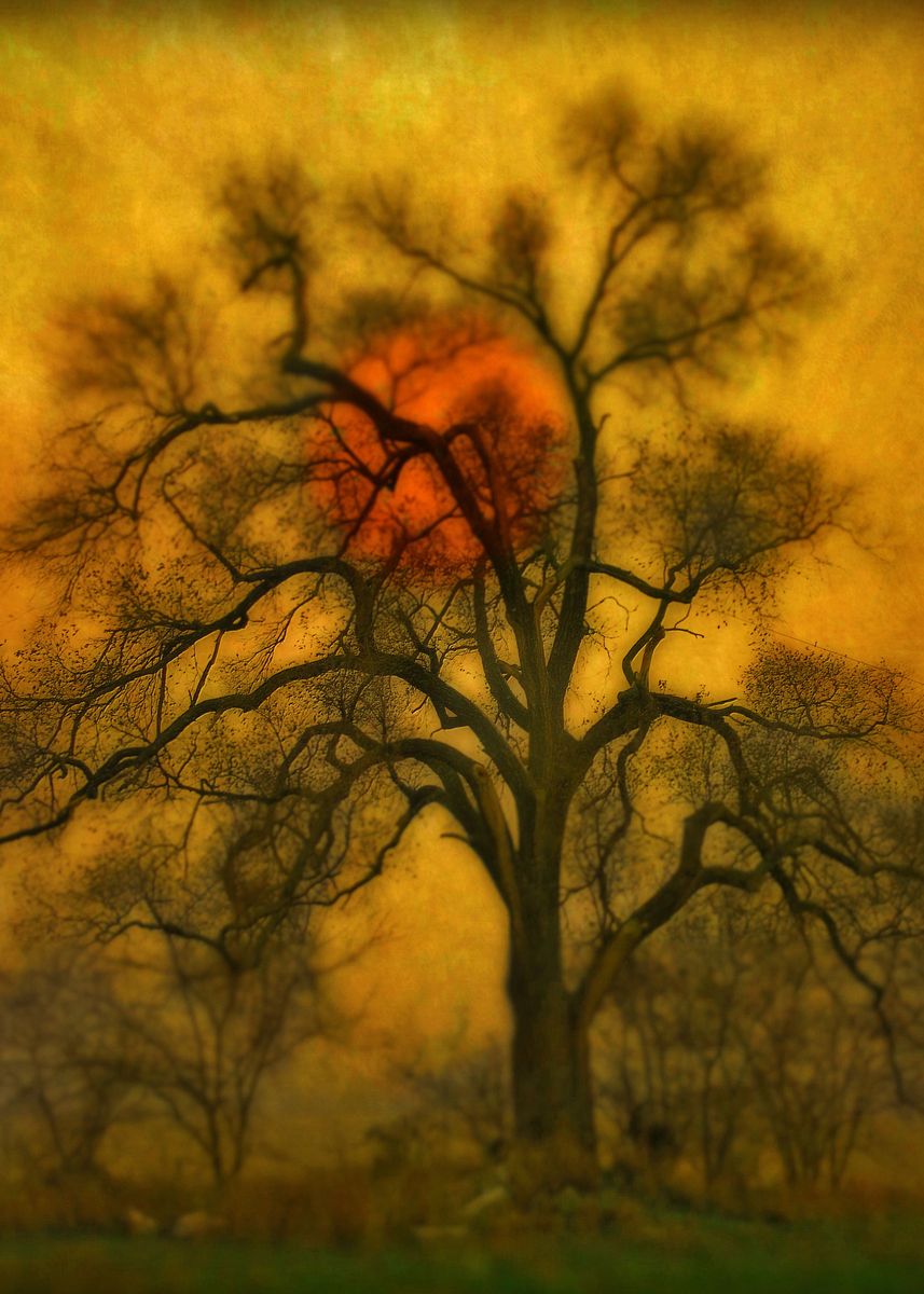 'Abstract midnight sun' Poster, picture, metal print, paint by David ...