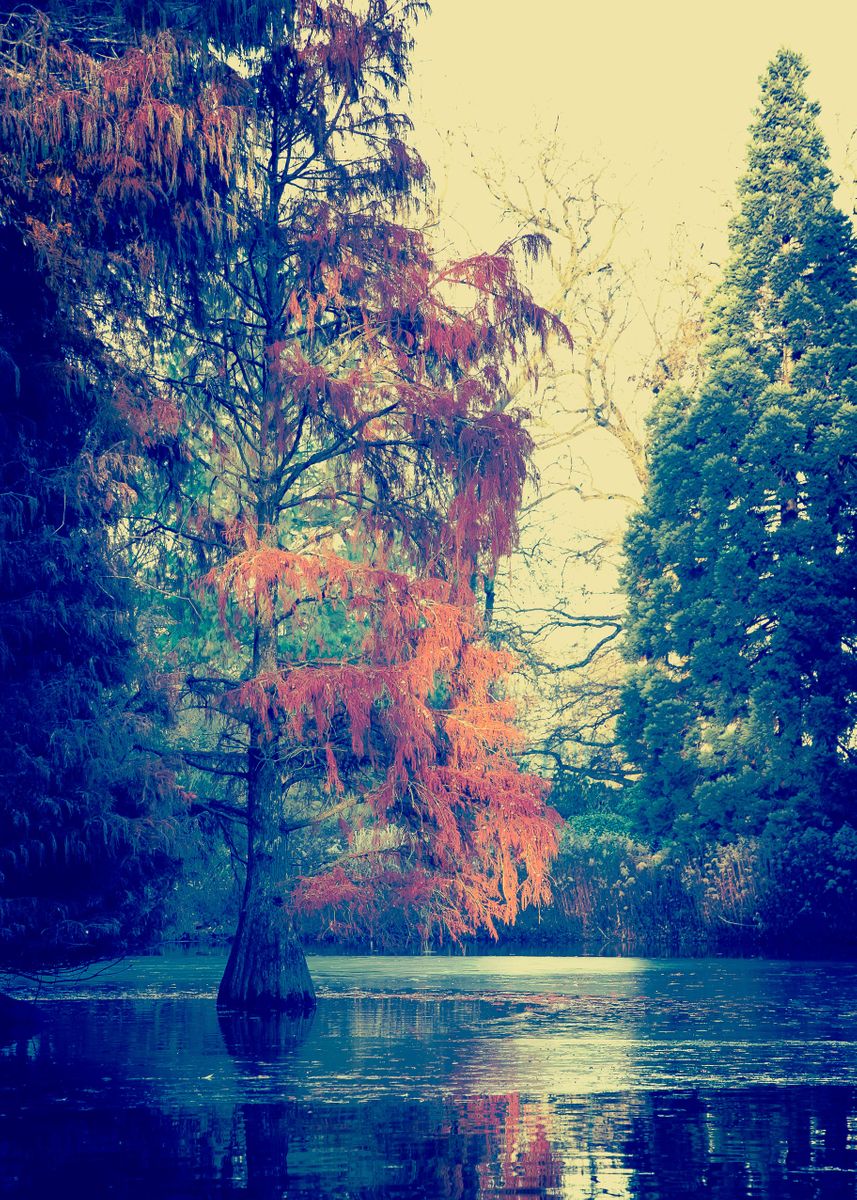 'red leaves fall' Poster, picture, metal print, paint by mroppx | Displate