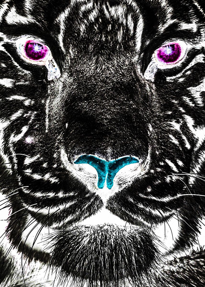 'Black Tiger' Poster, picture, metal print, paint by Sky Day | Displate