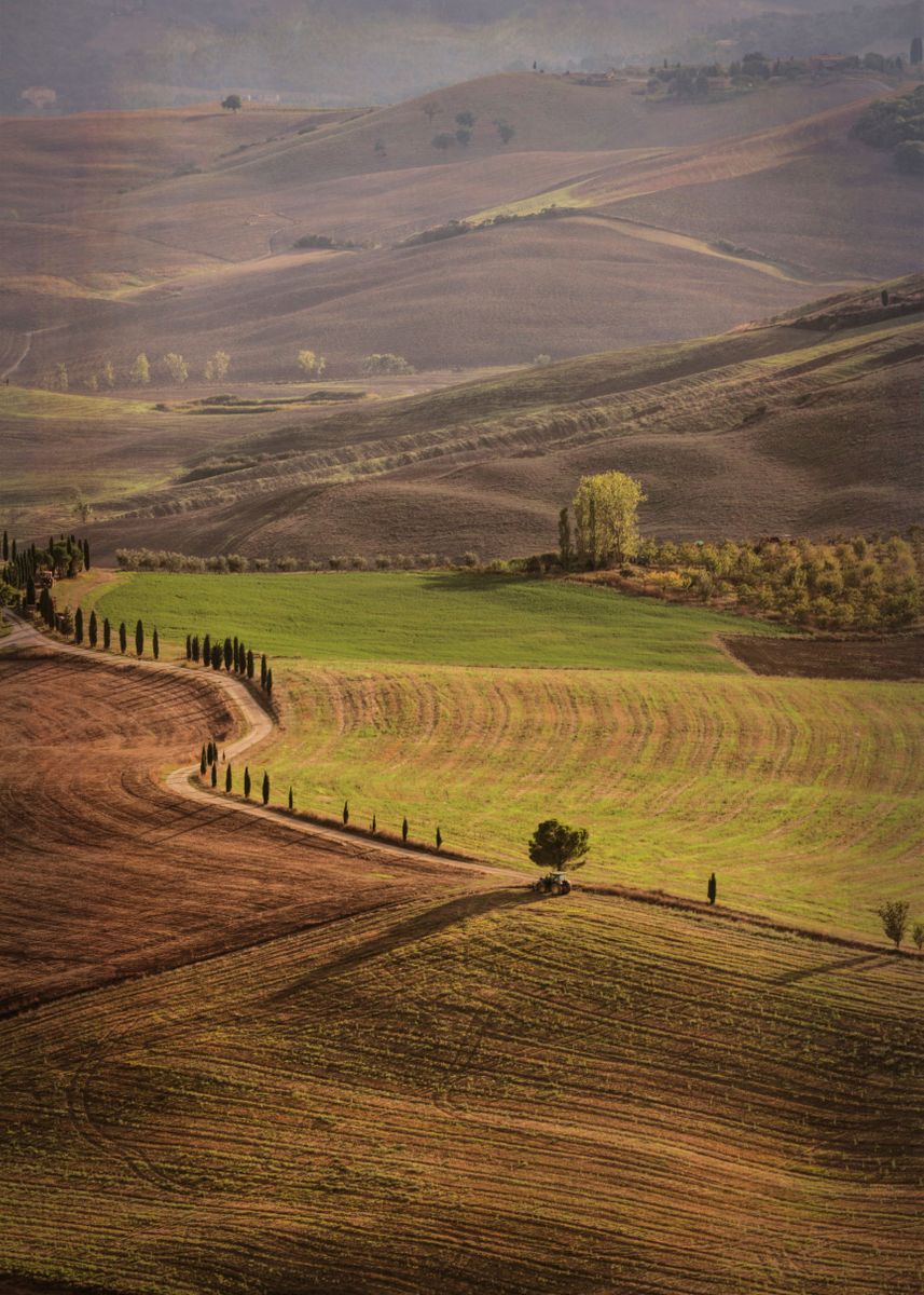 'hilly landscape' Poster, picture, metal print, paint by Ornella ...