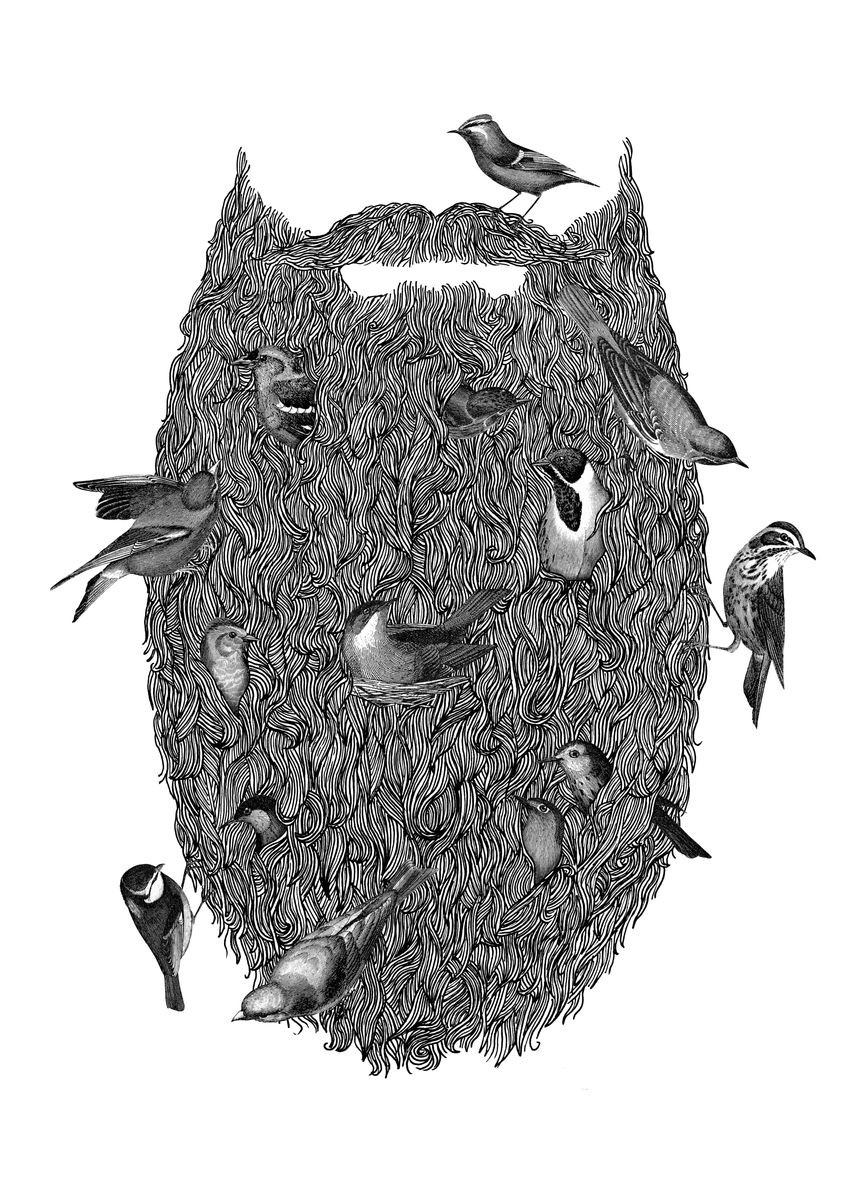 'Bird Beard' Poster, picture, metal print, paint by Rick Crane | Displate