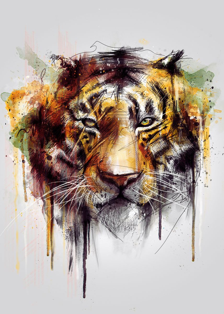 'Tiger (alpha Series)' Poster, picture, metal print, paint by ...