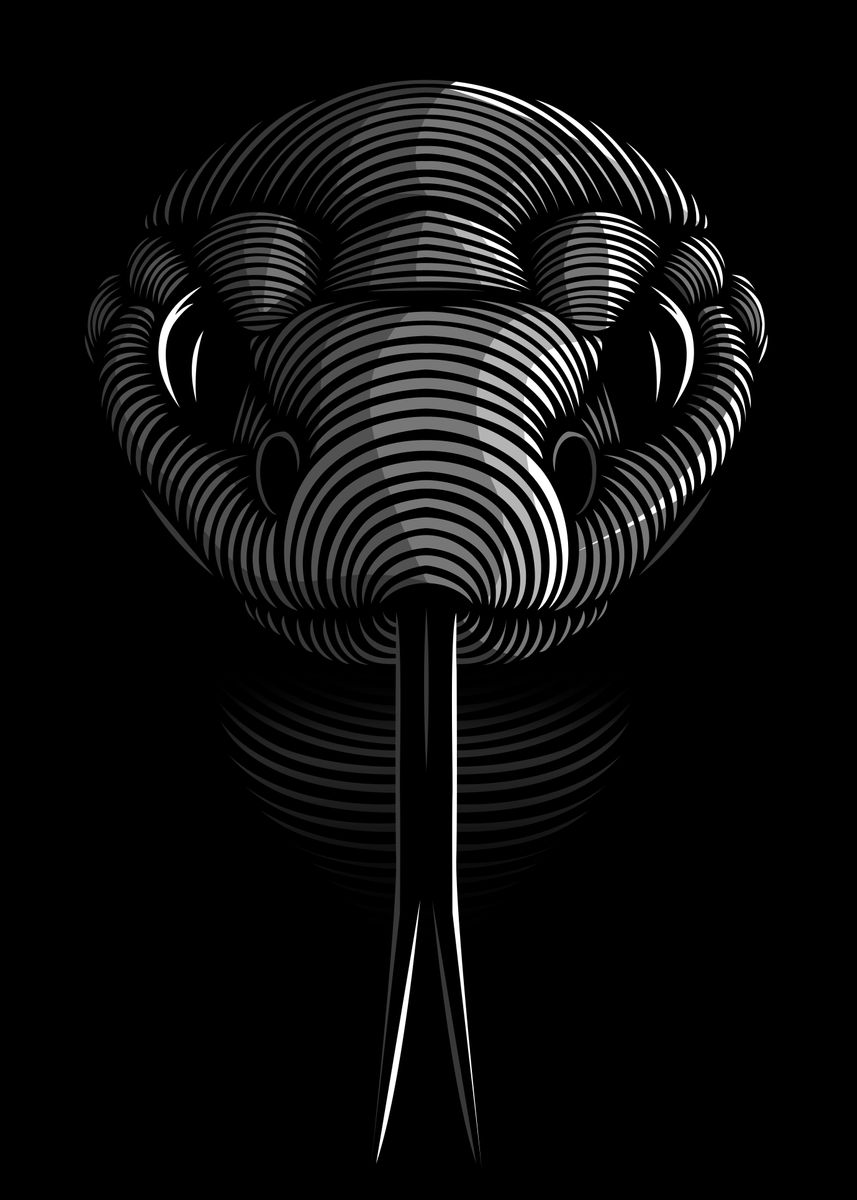 'Snake lines' Poster, picture, metal print, paint by Alberto Perez ...