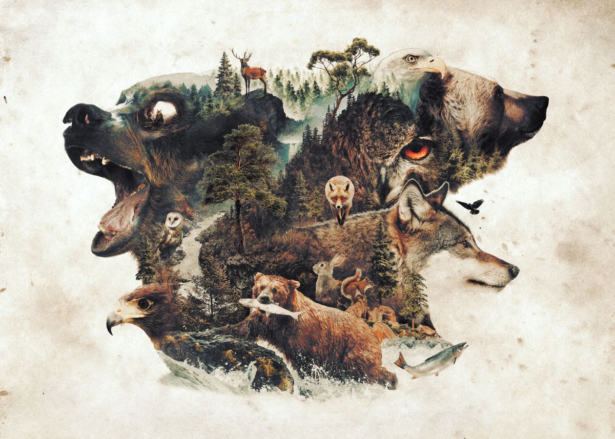 'My nature surrealism animal tribute to the predators an ... ' Poster ...