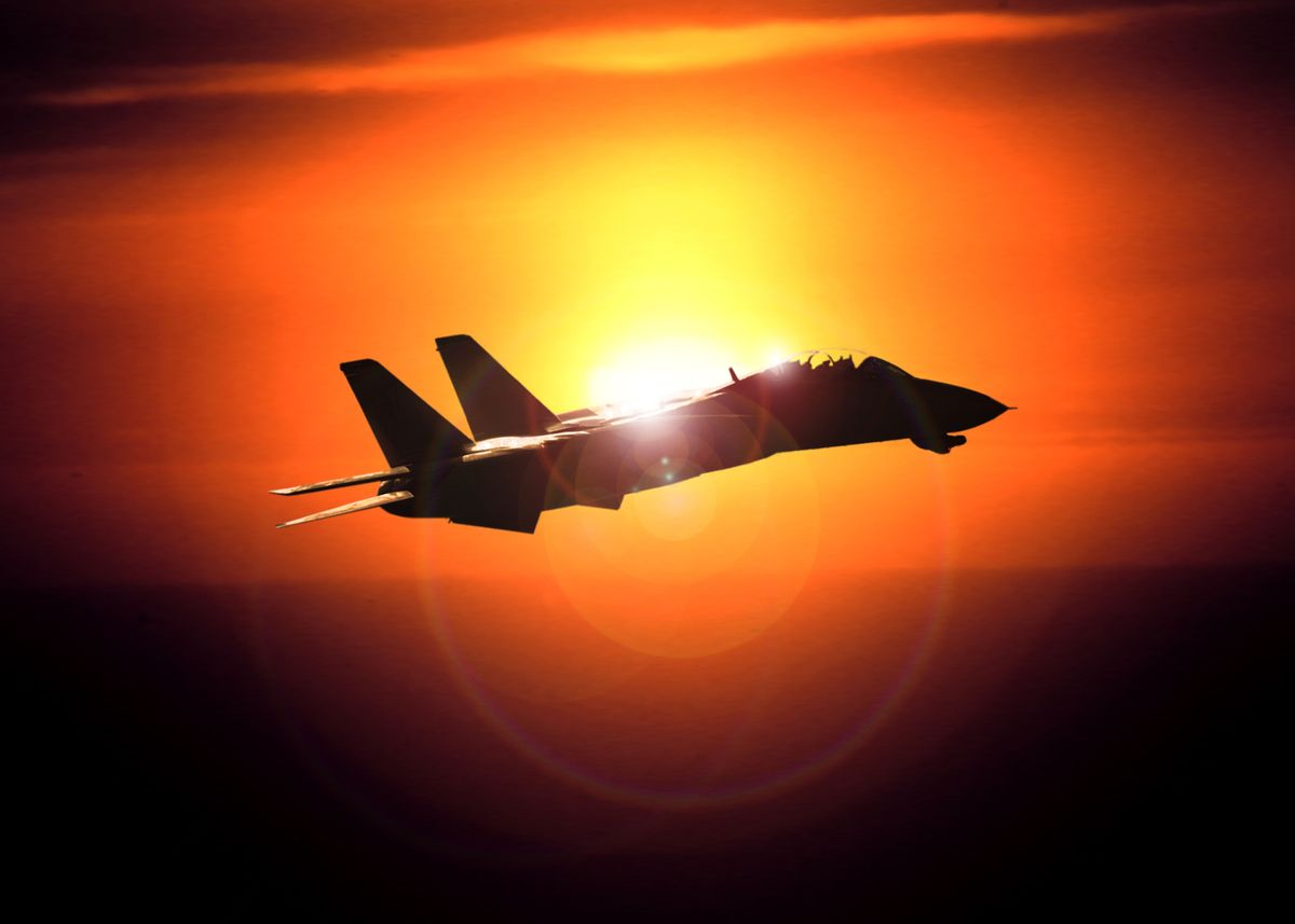 'US navy F-14 Tomcat silhouette' Poster by Airpower Art | Displate