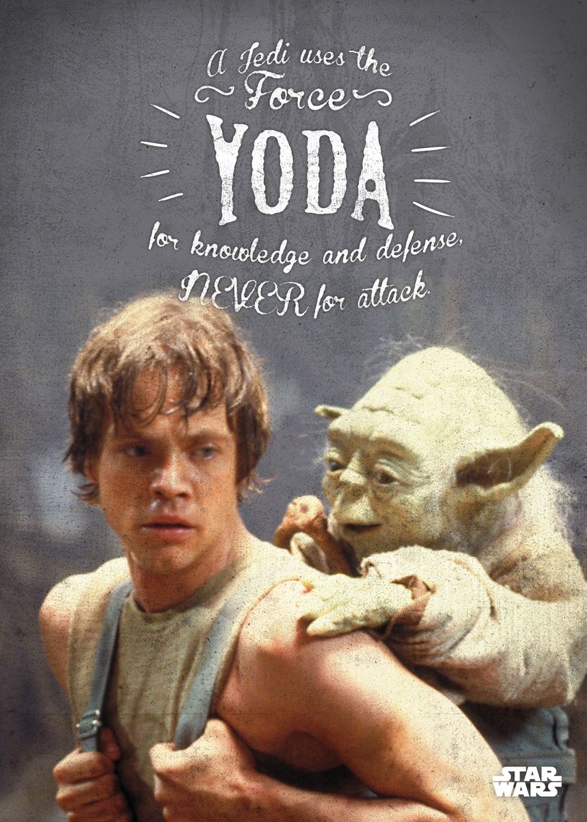 'Training' Poster, picture, metal print, paint by Star Wars | Displate