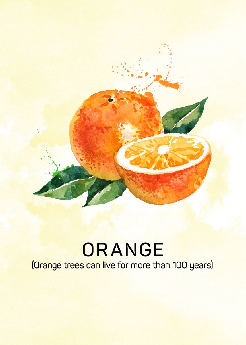 'Fun facts about fruits: Orange trees can live for more ... ' Poster ...