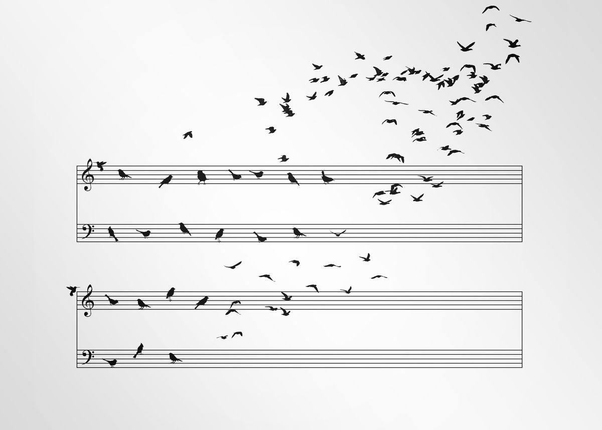 'Natural Music' Poster by Sokol Selmani | Displate