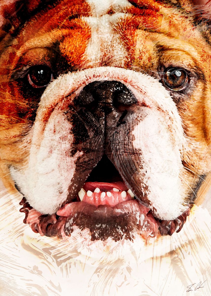 'Animals - The Bulldog' Poster, picture, metal print, paint by Swav ...