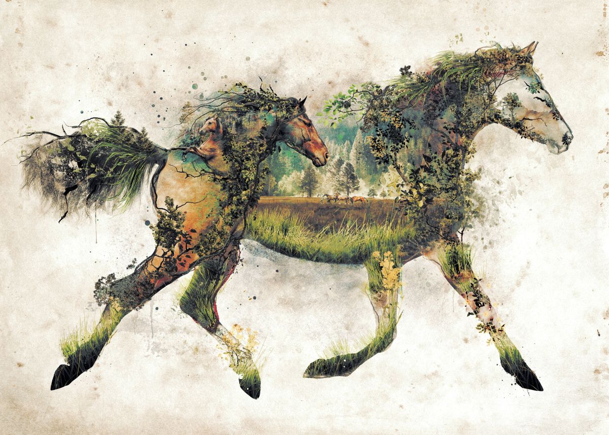 'The horse another in my original art nature animal surr ... ' Poster ...