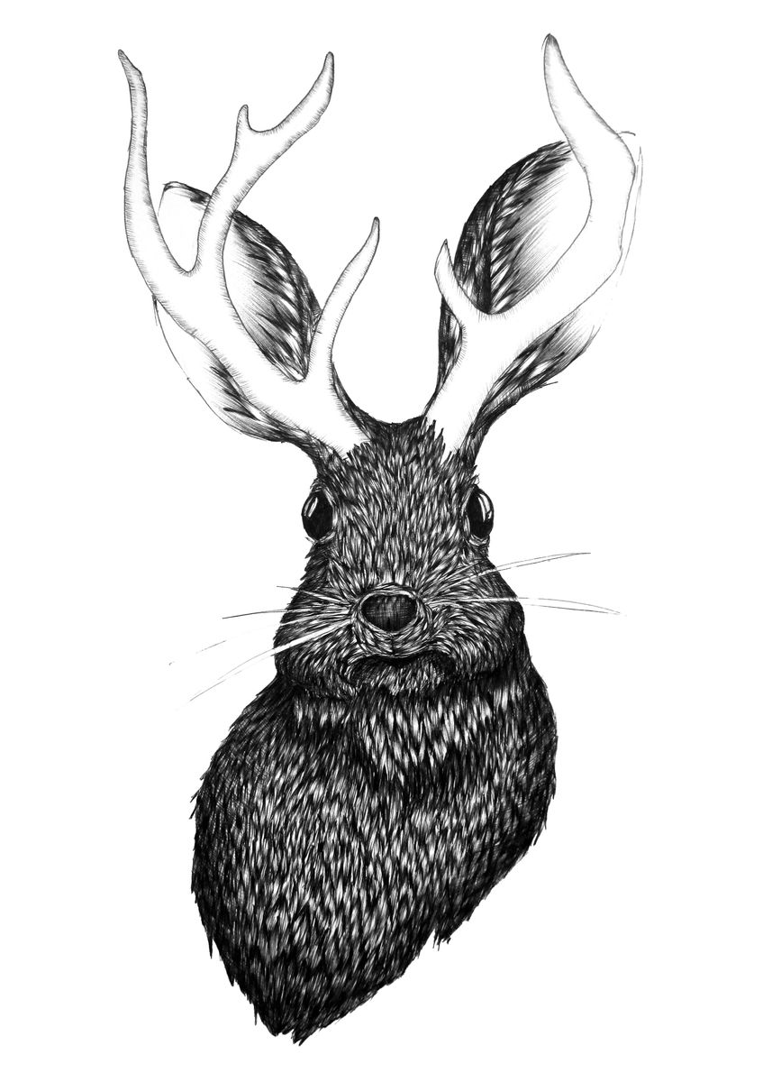 'Jackalope' Poster, picture, metal print, paint by Ella Mazur | Displate