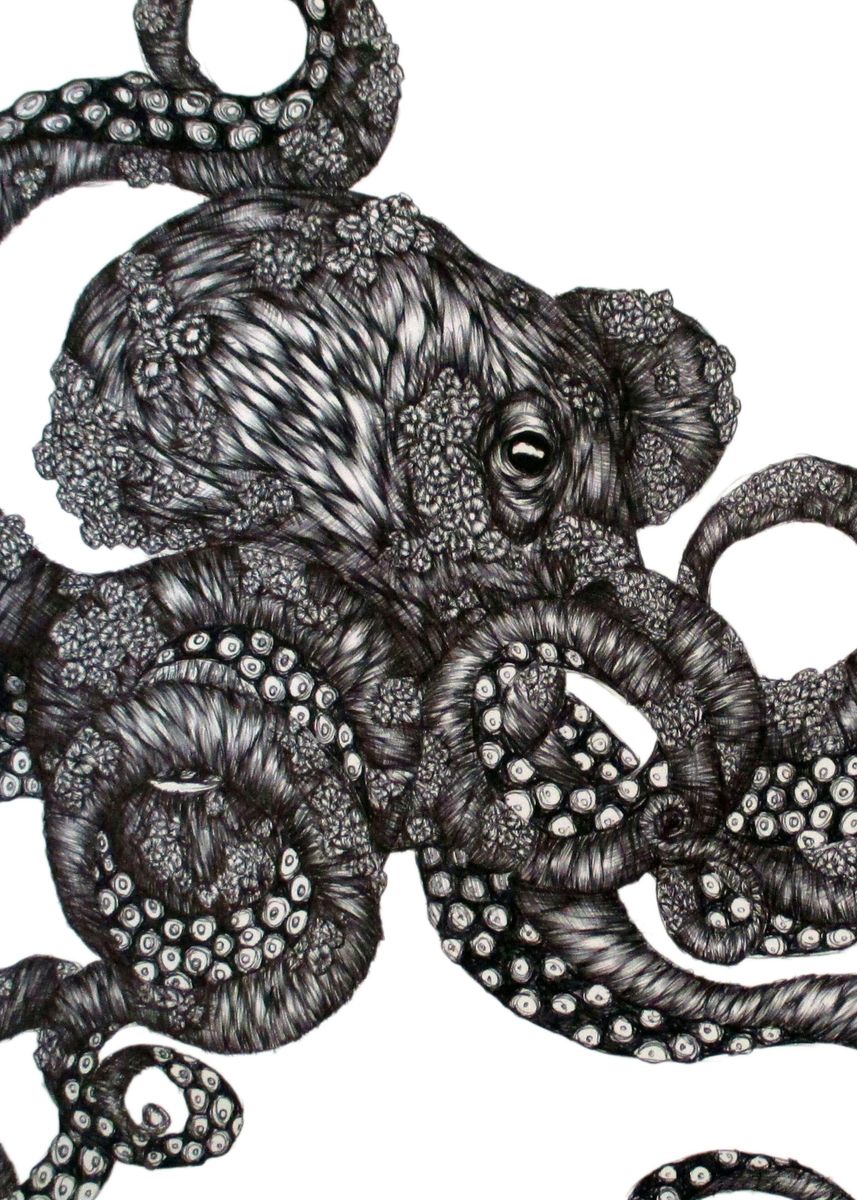 'Barnacle Octopus' Poster, picture, metal print, paint by Ella Mazur ...