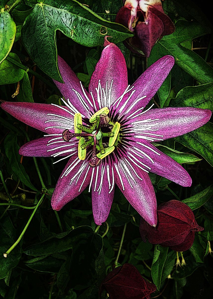 'Purple Flower' Poster by Elomin Sha | Displate