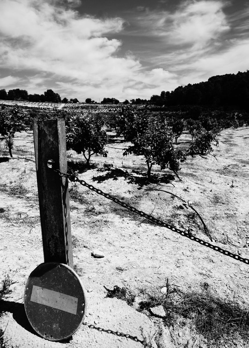 'Don't go beyond' Poster, picture, metal print, paint by David Morata ...