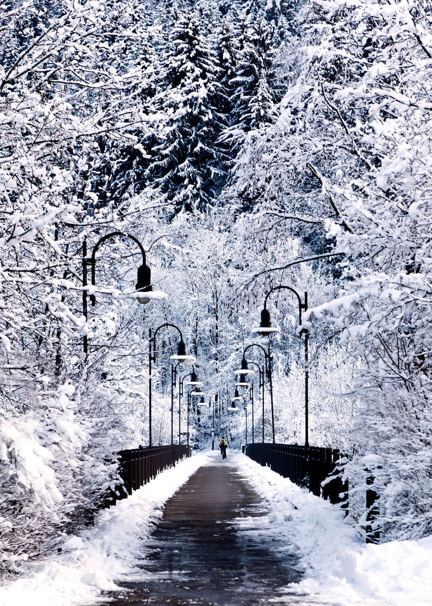 'Snowy bridge' Poster, picture, metal print, paint by ...