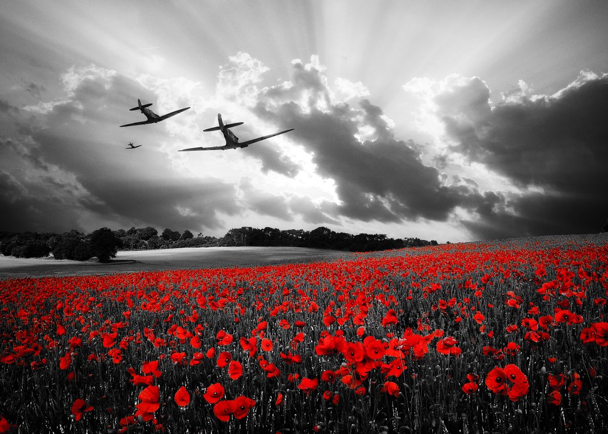 'Spitfires over a poppy field' Poster by Airpower Art | Displate