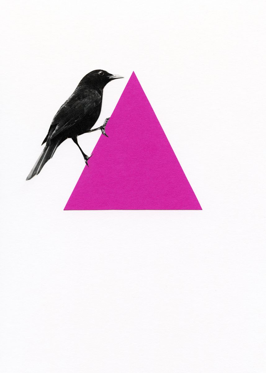 'Crow' Poster, picture, metal print, paint by Cassia Beck | Displate