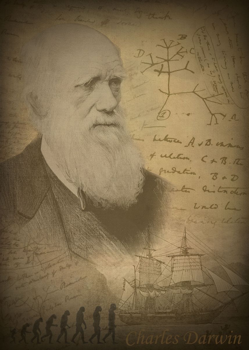 'Charles Darwin' Poster, picture, metal print, paint by KKcreative ...
