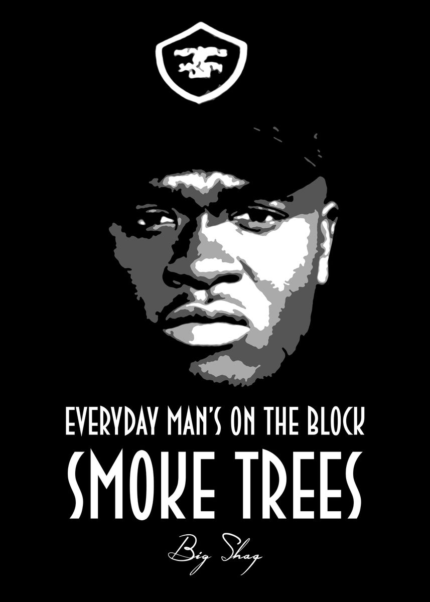 'Big Shaq' Poster, picture, metal print, paint by BB Design | Displate