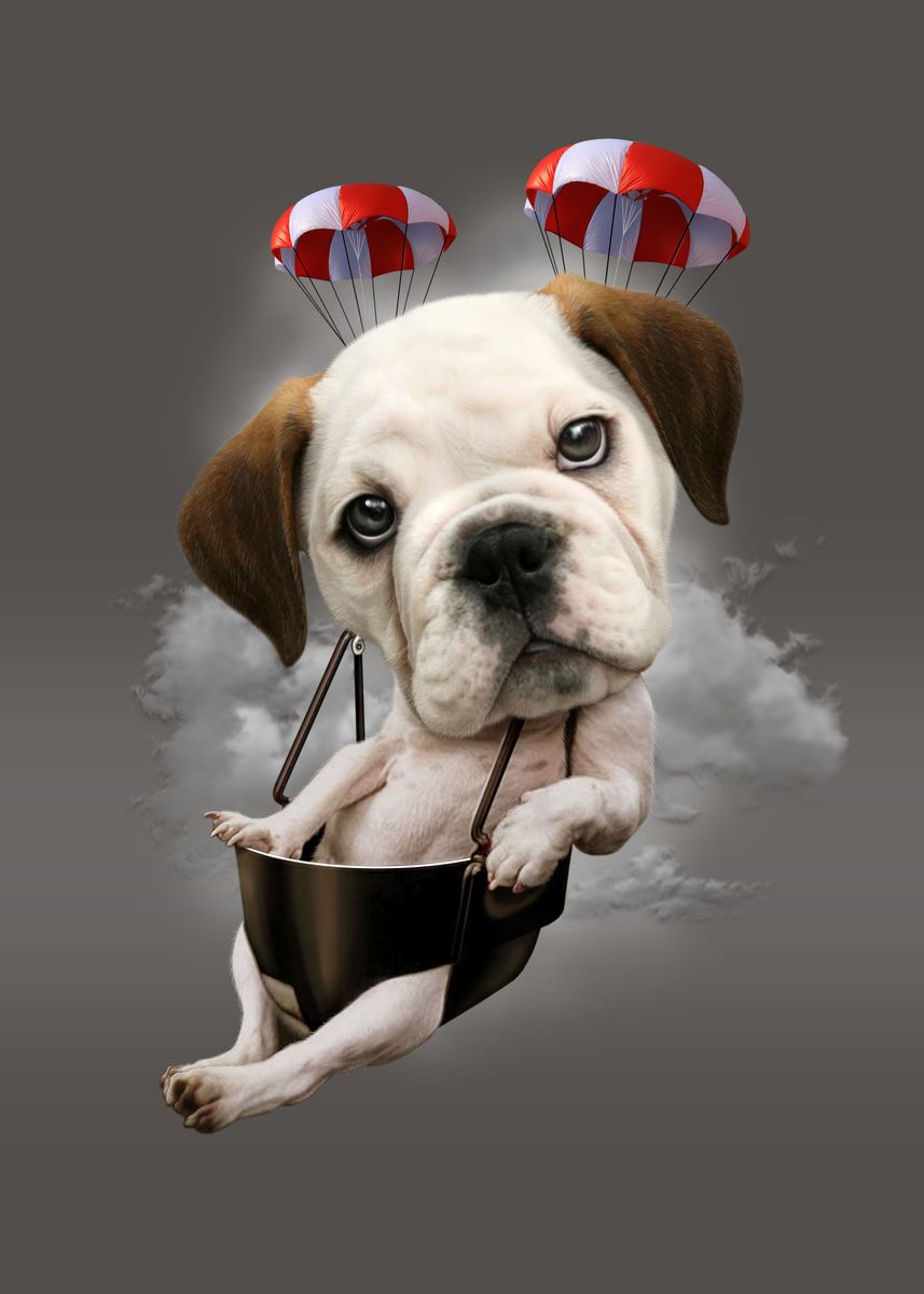 'PARACHUTE DOG' Poster by Adam Lawless | Displate