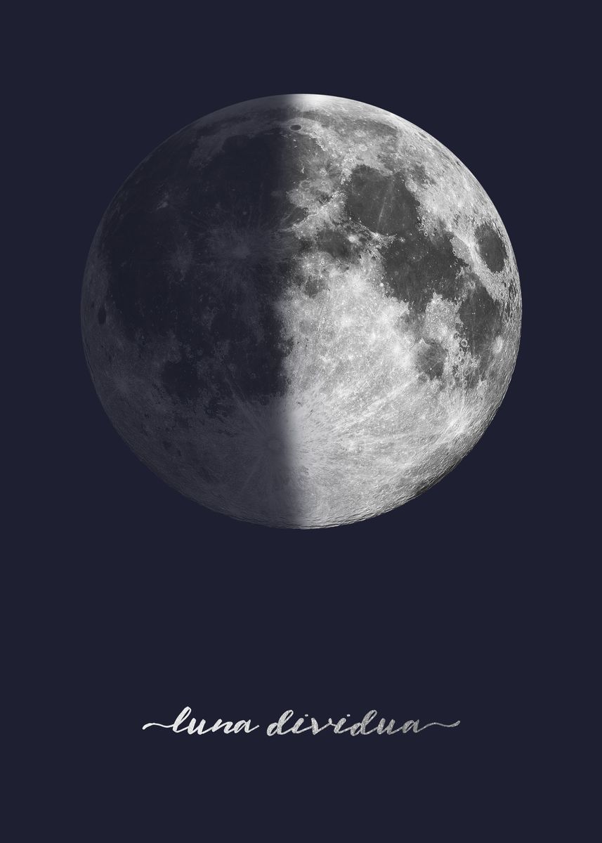 'First Quarter Moon - Latin - On Navy Blue' Poster, picture, metal ...
