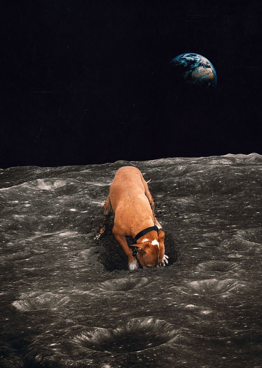 'The Search' Poster, picture, metal print, paint by seam less | Displate