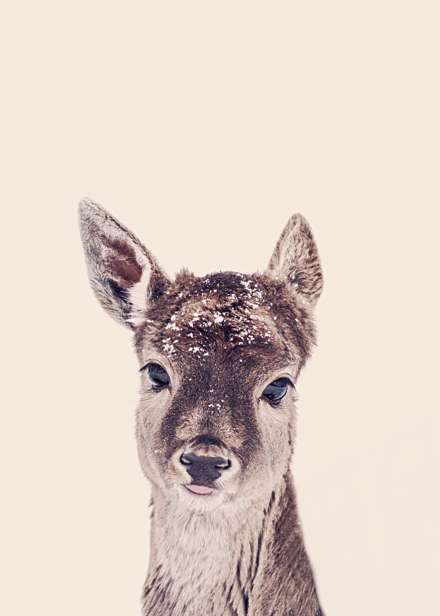'LITTLE FAWN FIONA' Poster, picture, metal print, paint by Monika ...