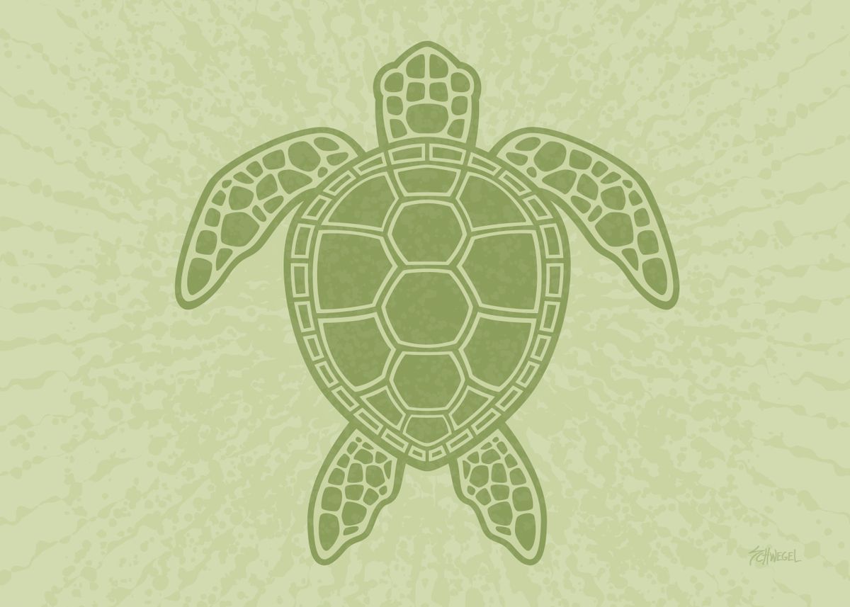 'Green Sea Turtle' Poster by John Schwegel | Displate