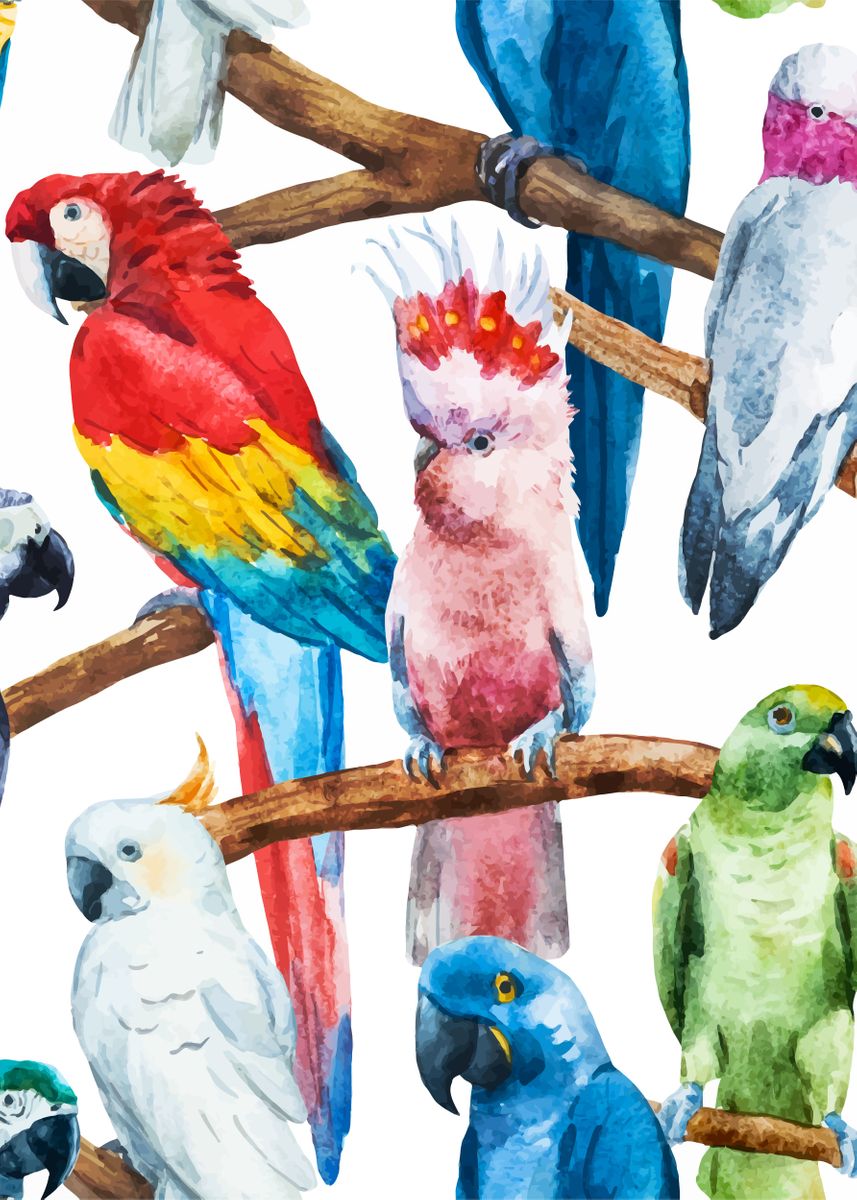 'Parrot Pattern 01' Poster, picture, metal print, paint by Aloke Design ...