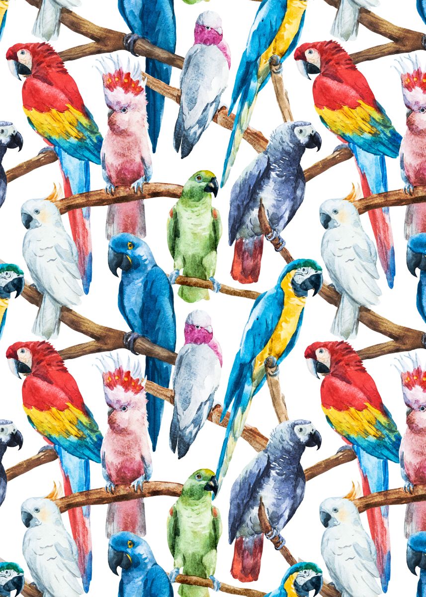 'Parrot Pattern 02' Poster, picture, metal print, paint by Aloke Design ...